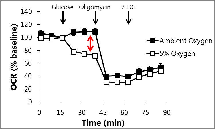 醫學研究部共同研究室